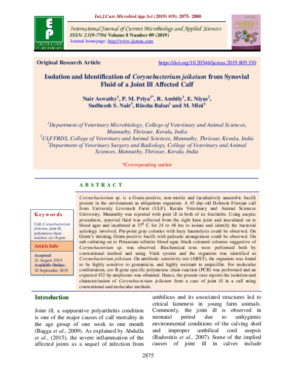 (PDF) Isolation and Identification of Corynebacterium jeikeium from ...
