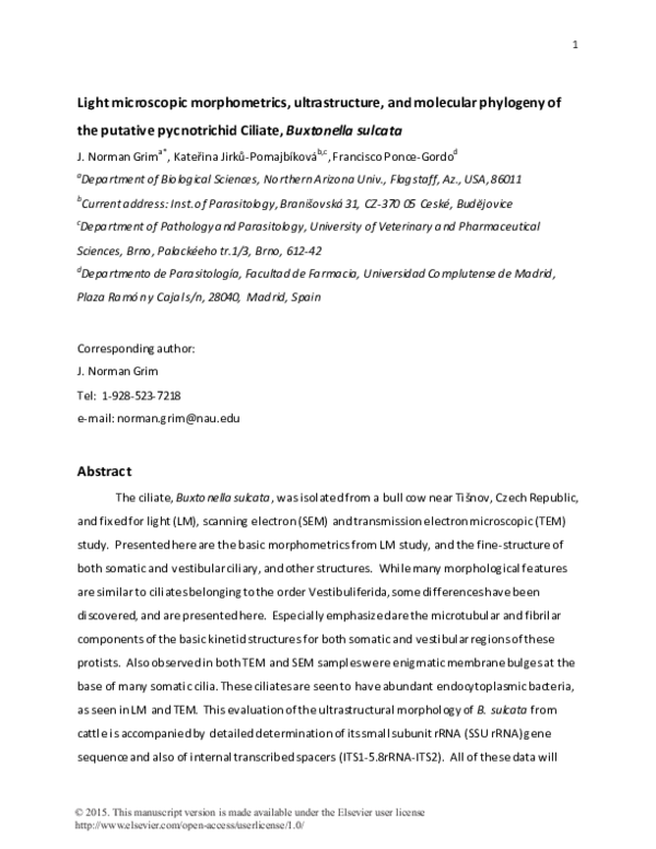 (PDF) Light microscopic morphometrics, ultrastructure, and molecular ...