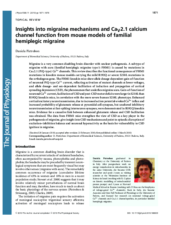 (PDF) Insights into migraine mechanisms and CaV2.1 calcium channel ...