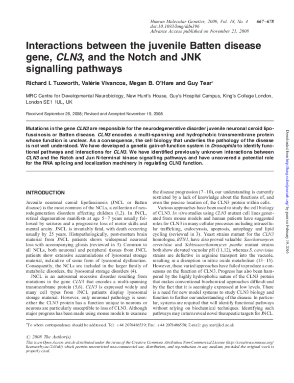 (PDF) Interactions between the juvenile Batten disease gene, CLN3, and ...