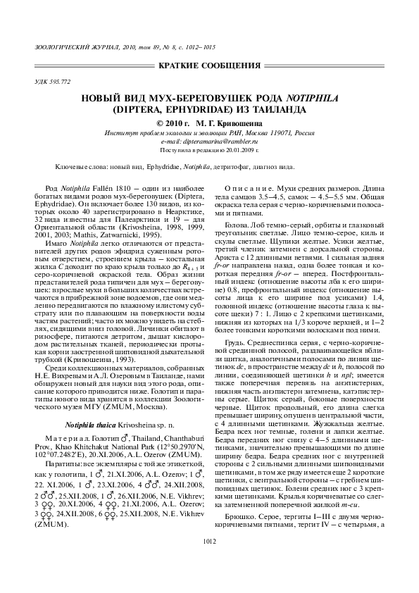 (PDF) A new species of the shore-fly genus Notiphila (Diptera ...