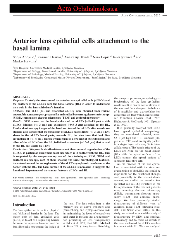 (PDF) Anterior lens epithelial cells attachment to the basal lamina