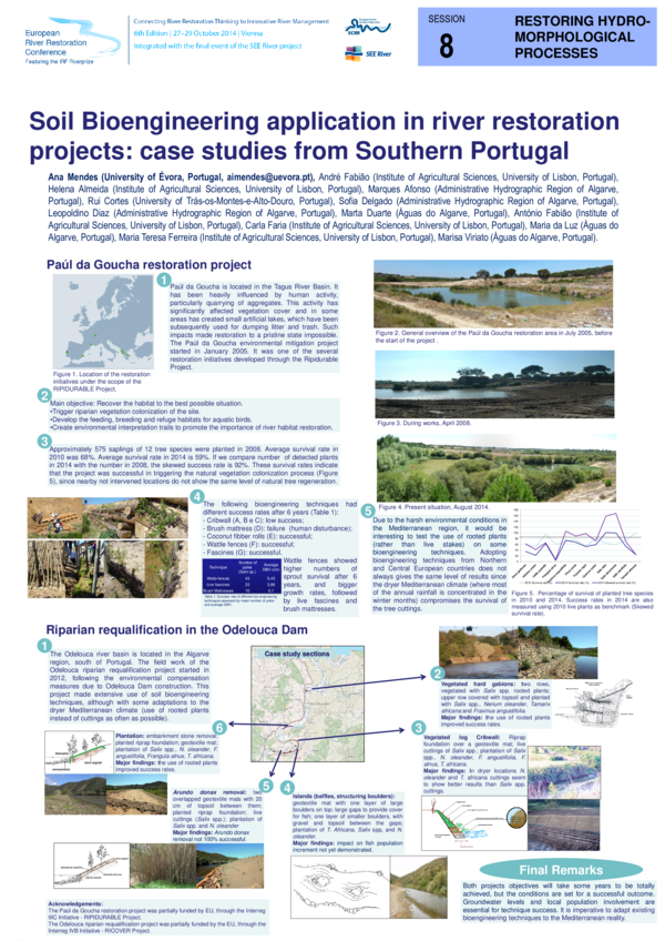 (PDF) Soil Bioengineering application in river restoration projects ...