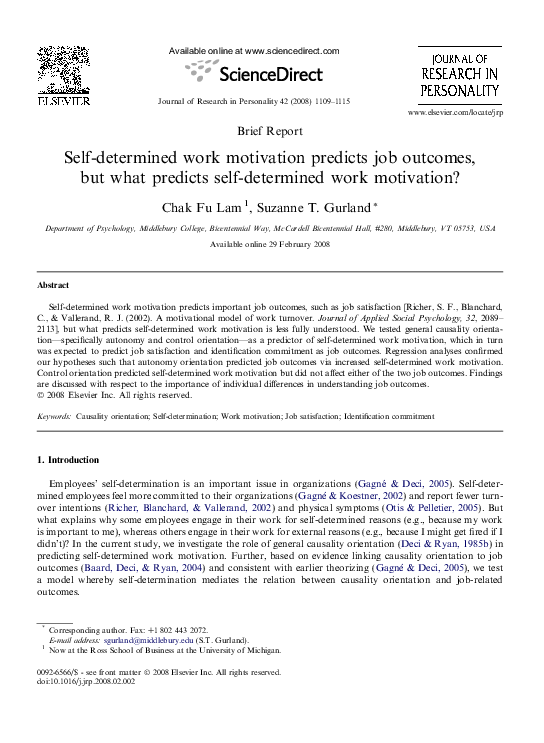 (PDF) Self-determined work motivation predicts job outcomes, but what ...