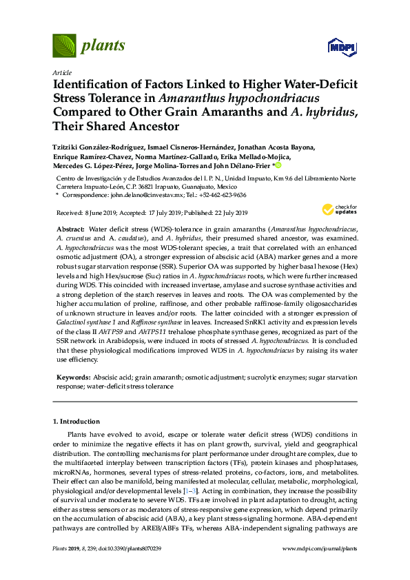 (PDF) Identification of Factors Linked to Higher Water-Deficit Stress Tolerance in Amaranthus ...