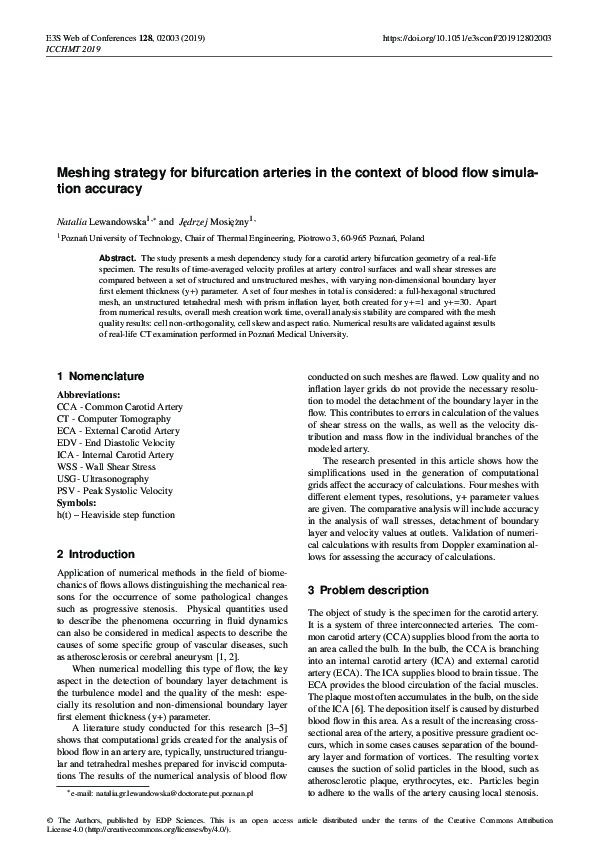 (PDF) Meshing strategy for bifurcation arteries in the context of blood ...