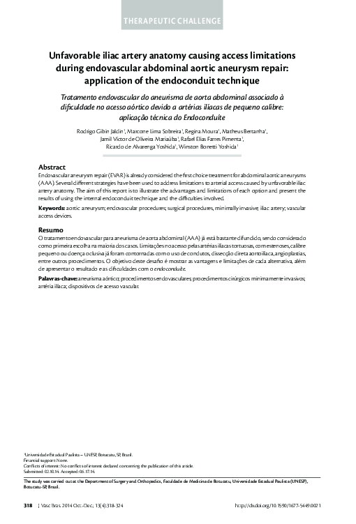 (PDF) Unfavorable iliac artery anatomy causing access limitations ...