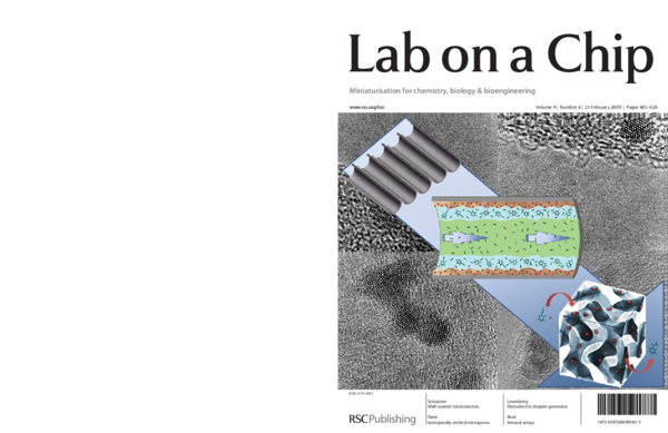 (PDF) Capillary microreactors wall-coated with mesoporous titania thin film catalyst supports