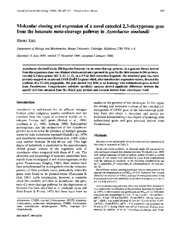(PDF) Molecular cloning and expression of a novel catechol 2, 3 ...
