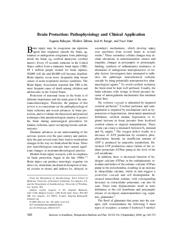 (PDF) Brain protection: Pathophysiology and clinical application