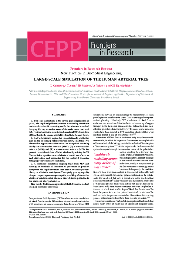 (PDF) New Frontiers in Biomedical Engineering LARGE-SCALE SIMULATION OF ...