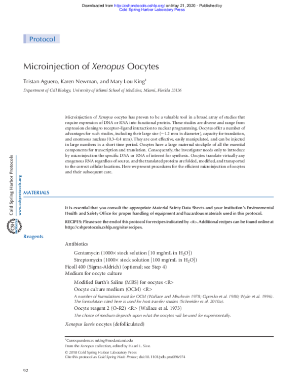 (PDF) {"__content__"=>"Microinjection of Oocytes.", "i"=>{"__content__ ...