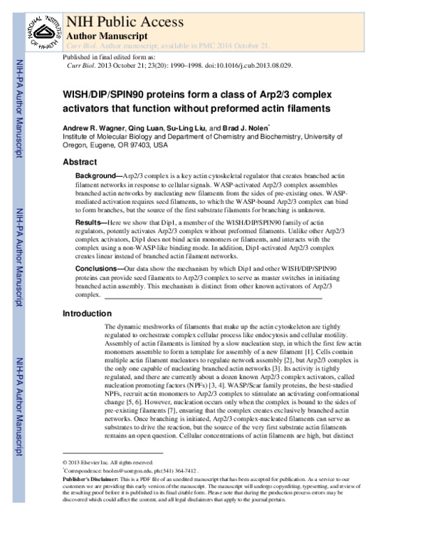 (PDF) Faculty of 1000 evaluation for Dip1 defines a class of Arp2/3 ...