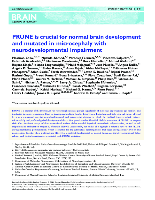 (PDF) PRUNE is crucial for normal brain development and mutated in ...