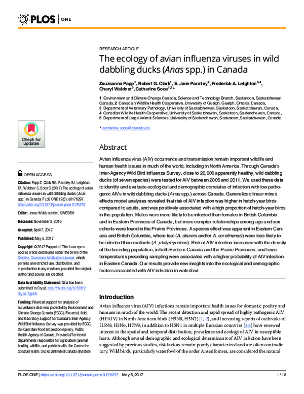 (PDF) The ecology of avian influenza viruses in wild dabbling ducks ...