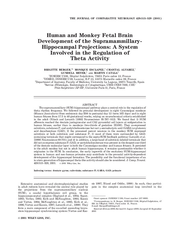 (PDF) Human and monkey fetal brain development of the supramammillary ...