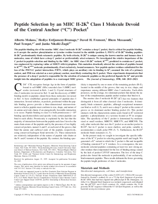 (PDF) Peptide selection by an MHC H-2Kb class I molecule devoid of the ...