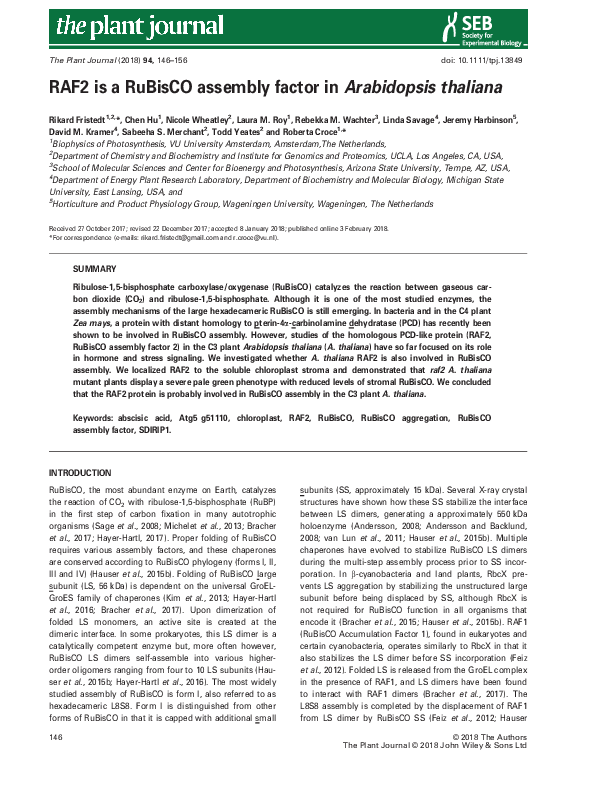 (PDF) RAF2 is a RuBisCO assembly factor in Arabidopsis thaliana