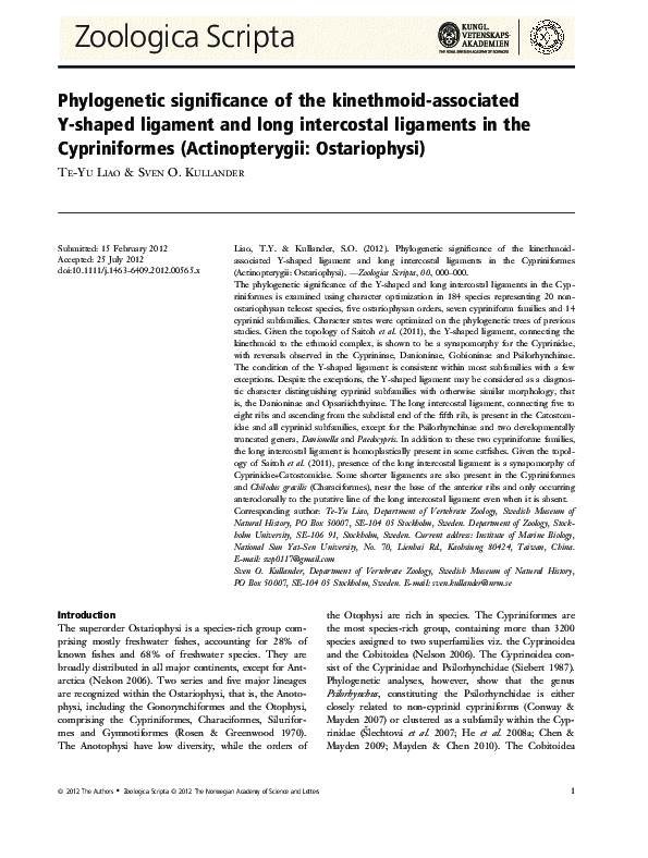 (PDF) Phylogenetic significance of the kinethmoid-associated Y-shaped ...