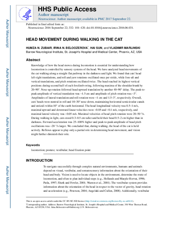 (PDF) Head movement during walking in the cat