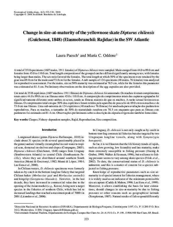 (PDF) Change in size-at-maturity of the yellownose skate Dipturus ...
