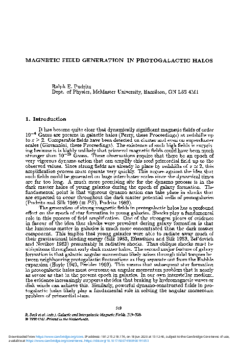 (PDF) Magnetic Fields in Protogalactic Halos