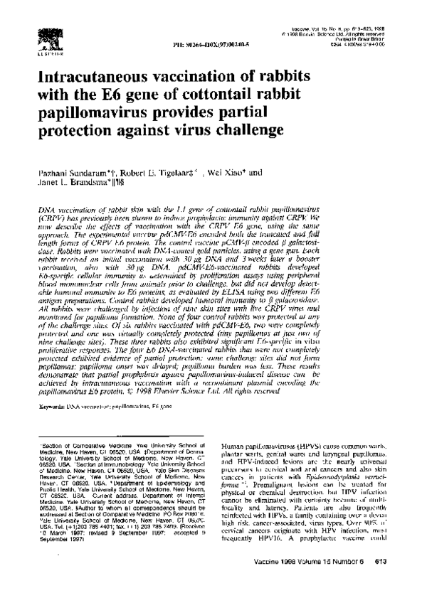 (PDF) Intracutaneous vaccination of rabbits with the cottontail rabbit ...