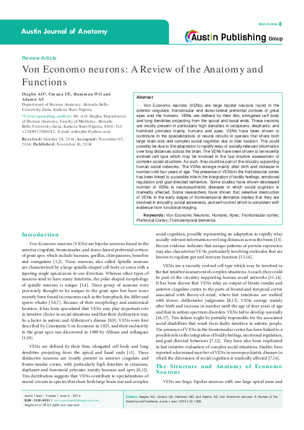 (PDF) Von Economo Neurons: Anatomy, Functions, and Social Cognition