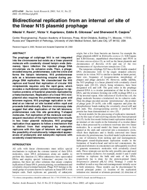 (PDF) Bidirectional replication from an internal ori site of the linear ...