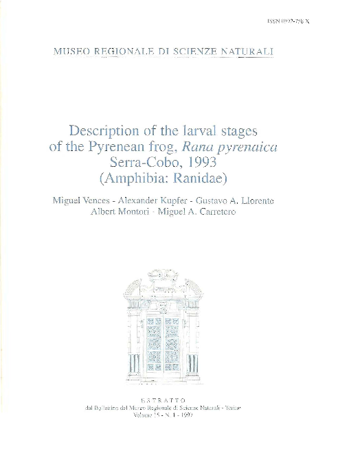 (PDF) Description of the larval stages of the Pyrenean frog, Rana ...