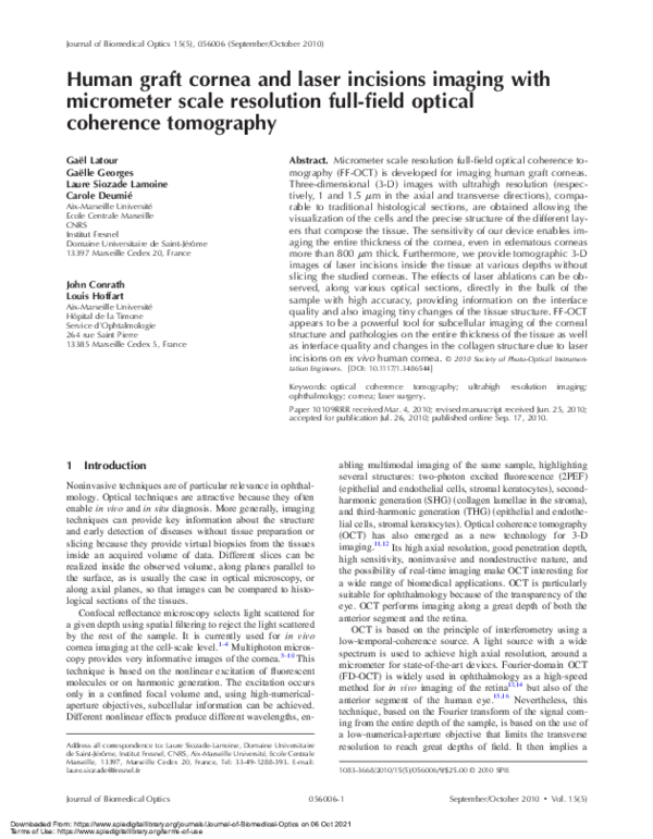 (PDF) Human graft cornea and laser incisions imaging with micrometer scale resolution full-field ...