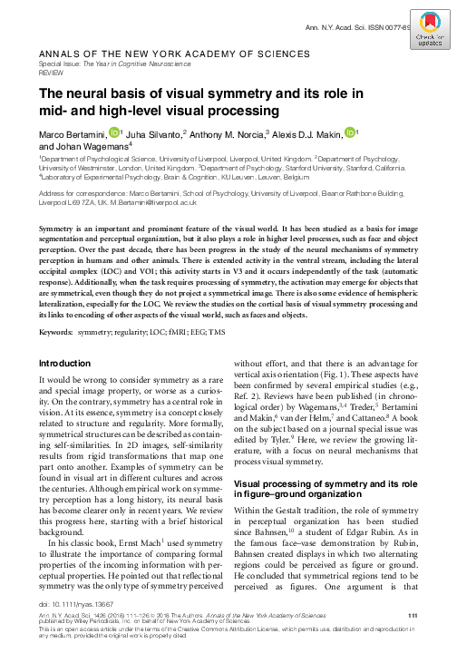 (PDF) The neural basis of visual symmetry and its role in mid- and high-level visual processing