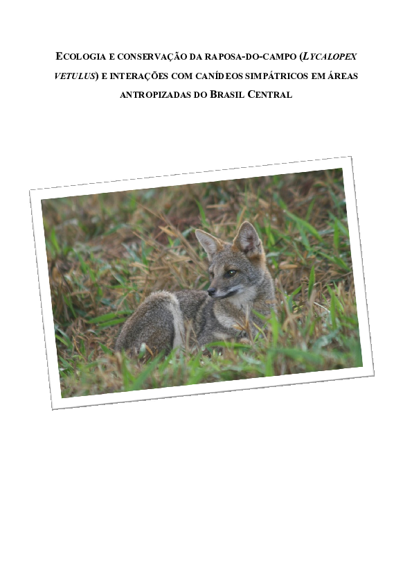 (PDF) Ecologia e conservação da raposa-do-campo (Lycalopex vetulus) e ...