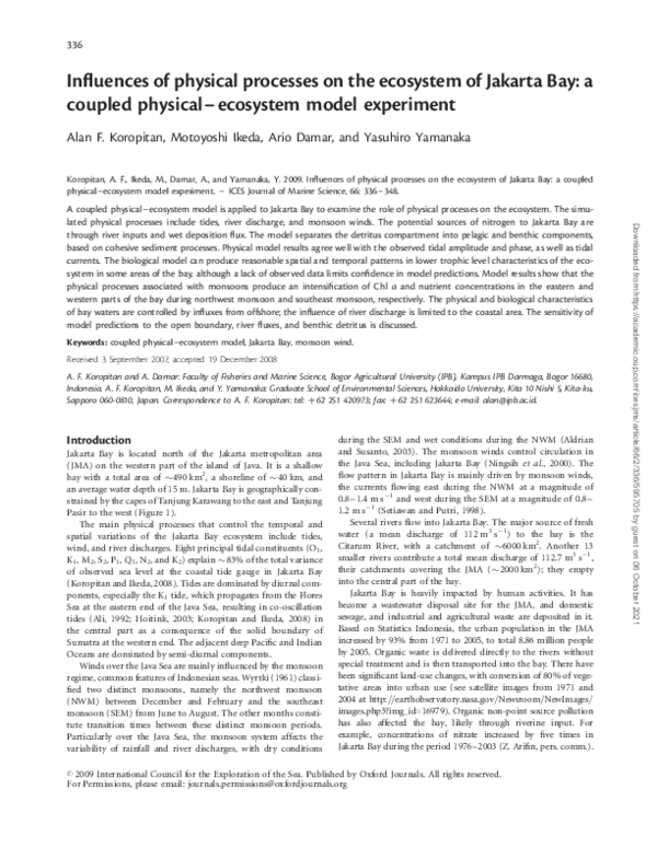 (PDF) Influences of physical processes on the ecosystem of Jakarta Bay ...