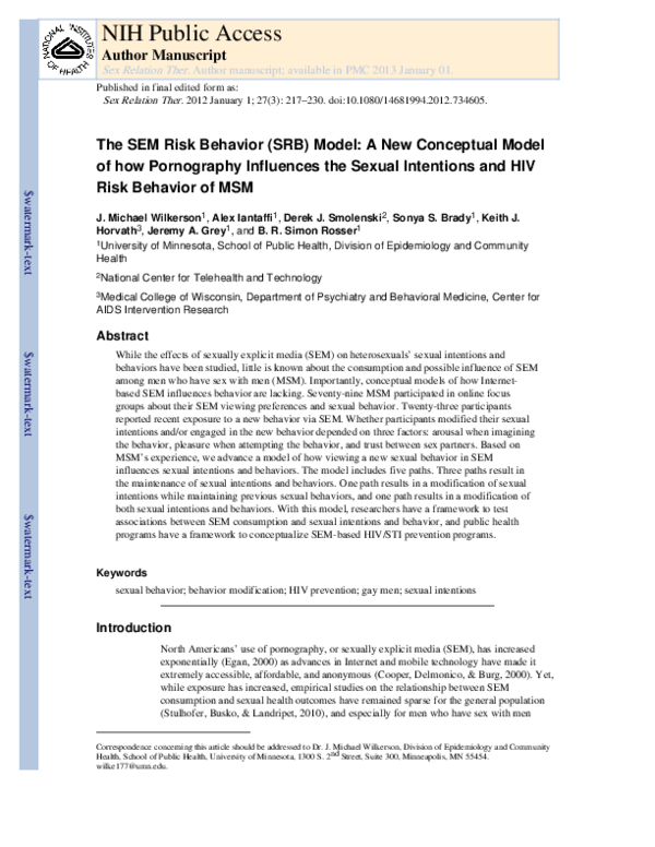 (PDF) The SEM Risk Behavior (SRB) Model: a new conceptual model of how ...