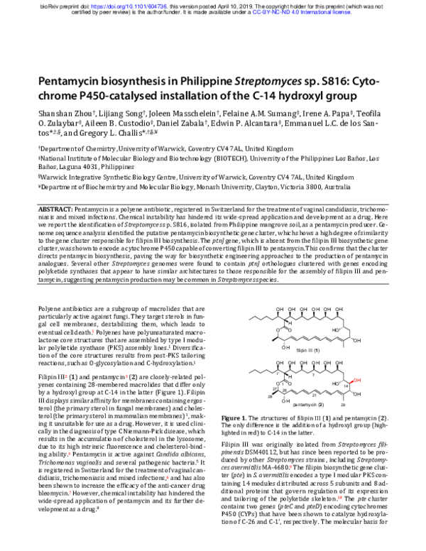 (PDF) Pentamycin biosynthesis in Philippine Streptomyces sp. S816 ...