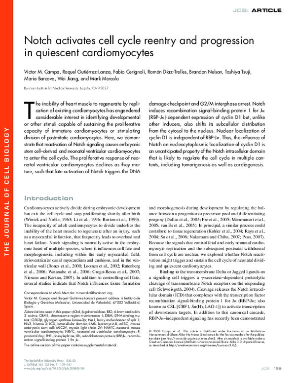 (PDF) Notch activates cell cycle reentry and progression in quiescent ...