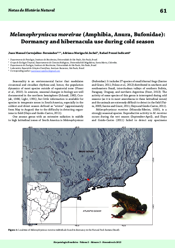 (PDF) Melanophryniscus moreirae (Amphibia, Anura, Bufonidae): Dormancy ...