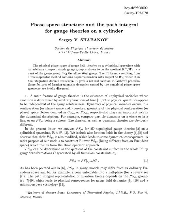 (PDF) Phase space structure and the path integral for gauge theories on ...
