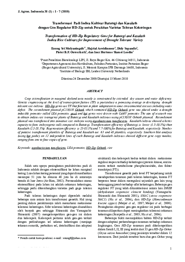 (PDF) Transformasi Padi Indica Kultivar Batutegi dan Kasalath dengan ...