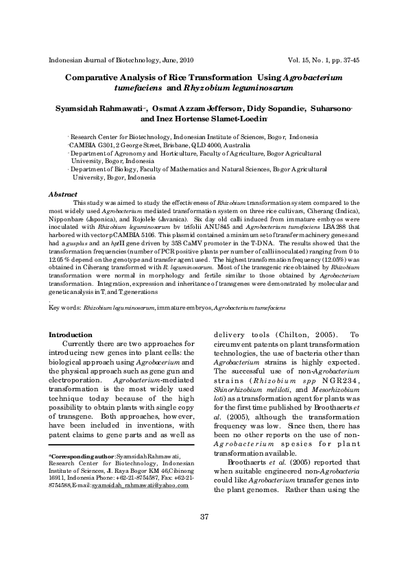 Pdf Comparative Analysis Of Rice Transformation Using Agrobacterium
