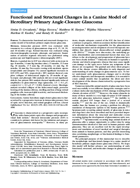 (PDF) Functional and Structural Changes in a Canine Model of Hereditary ...