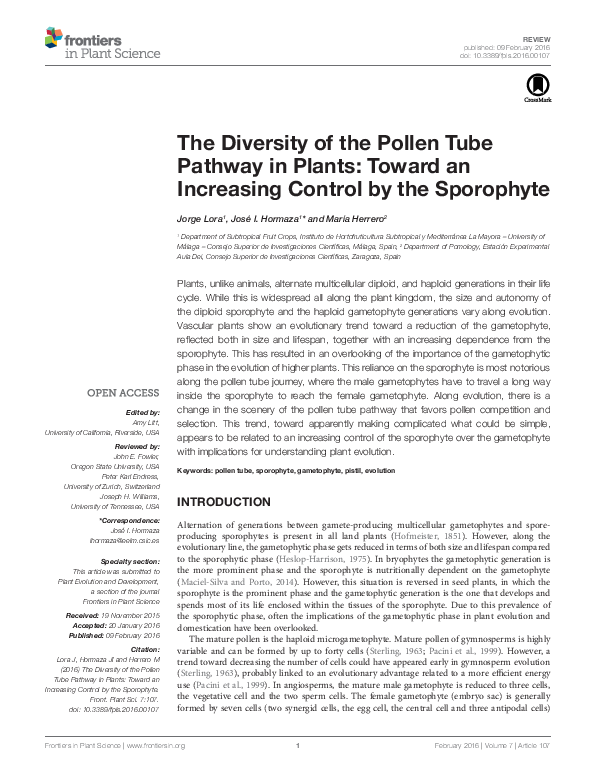 (PDF) The Diversity of the Pollen Tube Pathway in Plants: Toward an ...