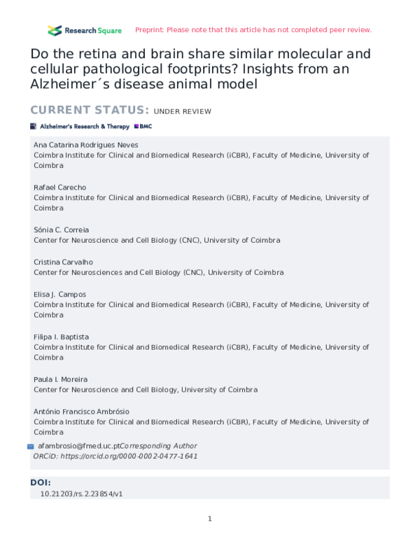 (PDF) Do the retina and brain share similar molecular and cellular ...