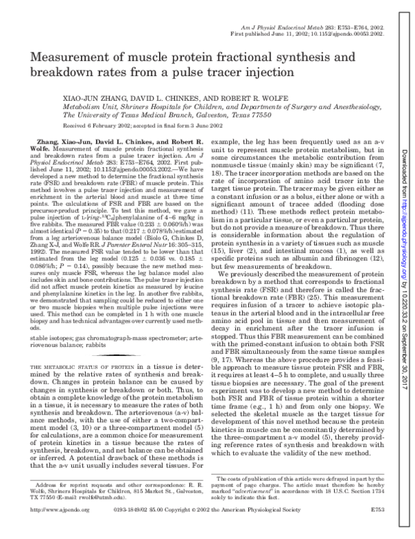 (PDF) Measurement of muscle protein fractional synthetic rate by ...