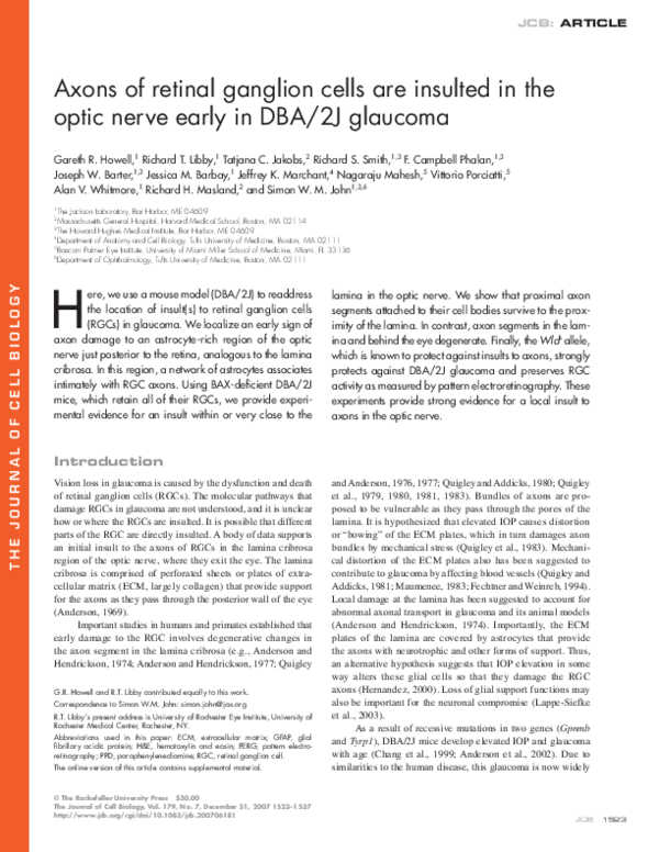 (PDF) Axons of Retinal Ganglion Cells Are Insulted In the Optic Nerve ...