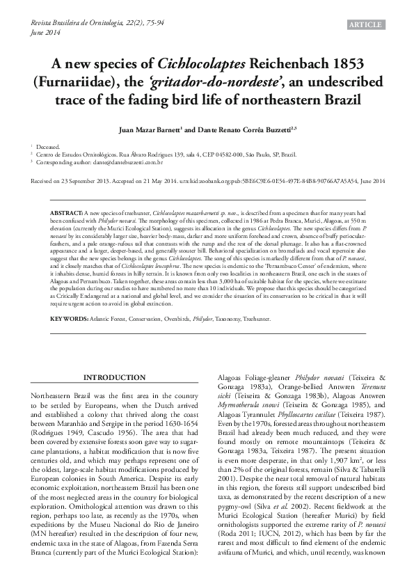 (PDF) A new species of Cichlocolaptes Reichenbach 1853 (Furnariidae ...