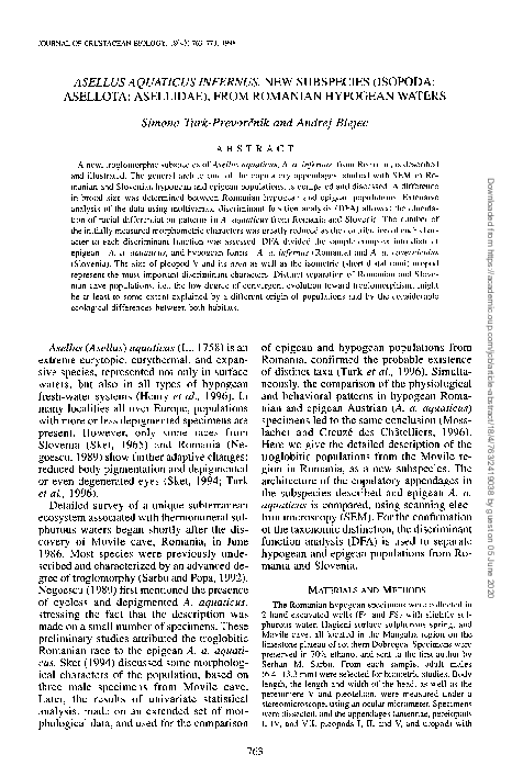 (PDF) Asellus Aquaticusinfernus, New Subspecies (Isopoda: Asellota ...