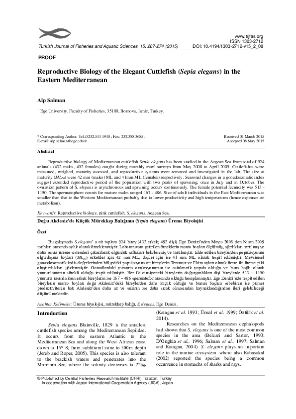(PDF) Reproductive Biology of the Elegant Cuttlefish (Sepia elegans) in ...