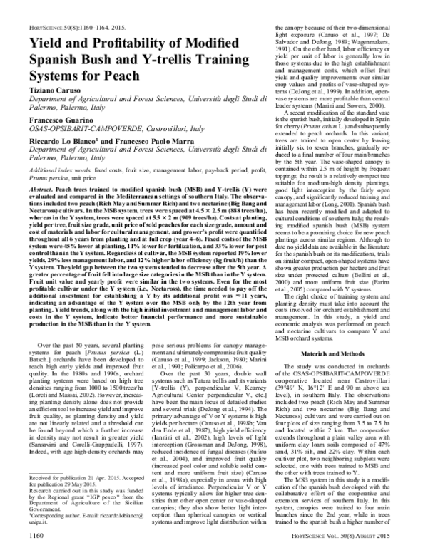 (PDF) Yield and Profitability of Modified Spanish Bush and Y-trellis ...